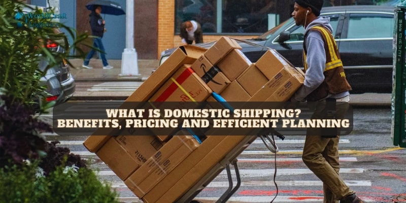 What is RMA number (Return Merchandise Authorization) in shipping?